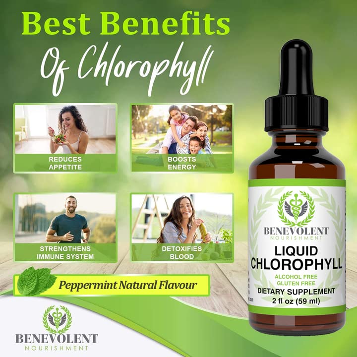 Chlorophyll Liquid Drops β Energy Boost | Immune System Support | Internal Deodorant | Altitude Sickness. Premium Quality β 100% Natural, Potent, Minty Taste, 2X Absorption.