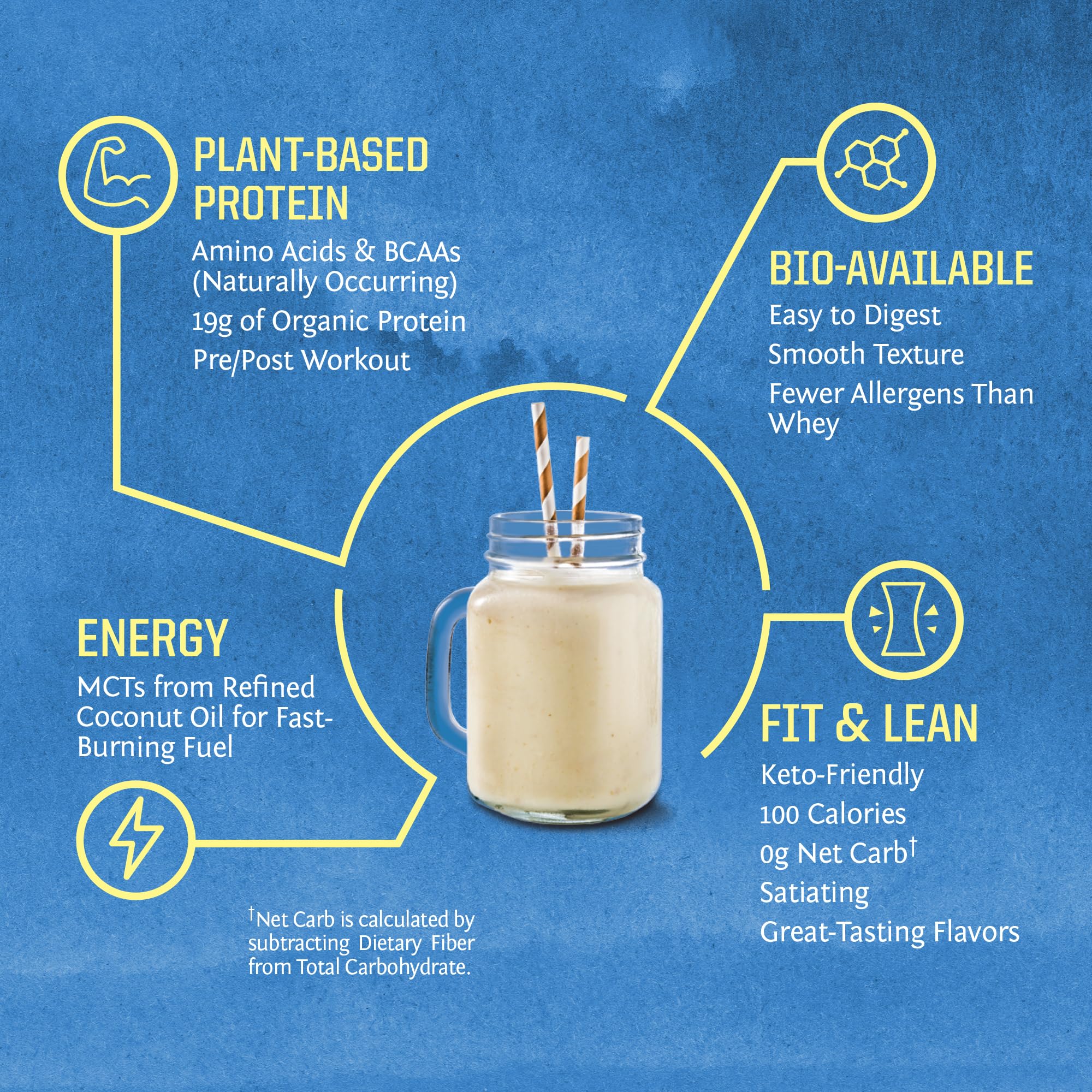 Vegan Organic Protein Powder Plant-based | BCAA Amino Acids Hemp Seed Soy Free Dairy Free Gluten Free Synthetic Free NON-GMO | Unflavored 30 Servings | Warrior Blend by Sunwarrior