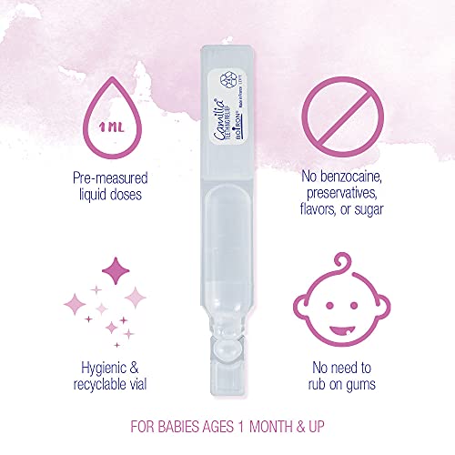 Boiron Camilia Teething Drops for Daytime and Nighttime Relief of Painful or Swollen Gums and Irritability in Babies - 30 Count