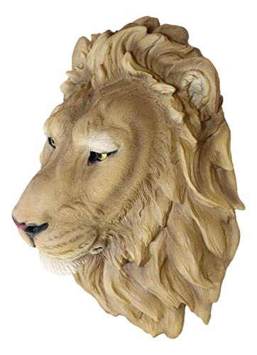 Ebros Gift Safari African Grassland Mufasa Lion Head Wall Decor Plaque 16" Tall Taxidermy Art Decor Sculpture Alpha Pride Lion King Wall Bust Plaque