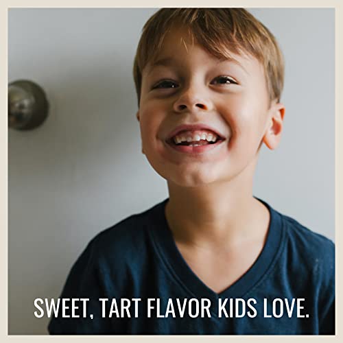 Nature’s Way Sambucus Elderberry Gummies for Kids, Immune Support Gummies*, with Vitamin C and Zinc, Delicious Berry Flavor, 60 Gummies