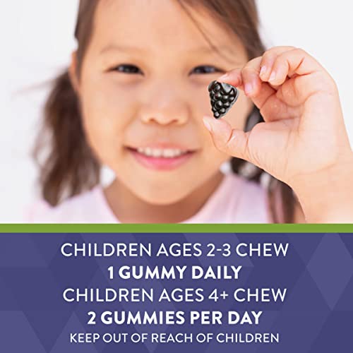 Nature’s Way Sambucus Elderberry Gummies for Kids, Immune Support Gummies*, with Vitamin C and Zinc, Delicious Berry Flavor, 60 Gummies