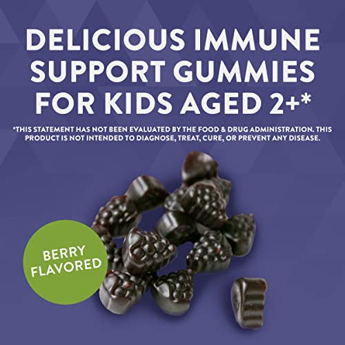 Nature’s Way Sambucus Elderberry Gummies for Kids, Immune Support Gummies*, with Vitamin C and Zinc, Delicious Berry Flavor, 60 Gummies