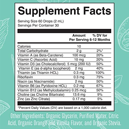 Multivitamin & Multimineral for Infants by MaryRuth's | USDA Organic | Sugar Free | Liquid Vitamins for Babies 6-12 Months | Immune Support & Overall Wellness | Vegan | Non-GMO | 2 Fl Oz