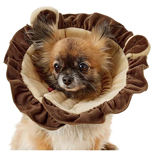 Alfie Pet - Noah Recovery Collar (for Dogs and Cats) - Pattern: Lion, Size: XS