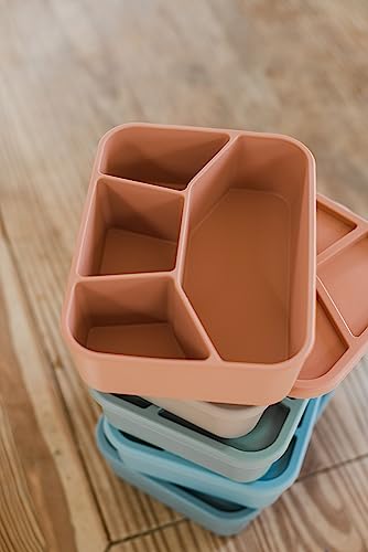 Spoondrift 100% Food Grade Eco-Friendly Leak-Proof Silicone Bento Box Lunchbox, Microwave Safe | For Child And Adult, 4 Compartment, Choose from 6 Colors, Includes 1 Box (Terracotta)