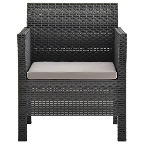 ZQQLVOO Patio Chairs with Cushions,Armchair,Dining Chairs,Leisure Chairs,Garden Chairs,for Swimming Pools,Decks,Gardens,Backyards,2 pcs PP Rattan Anthracite