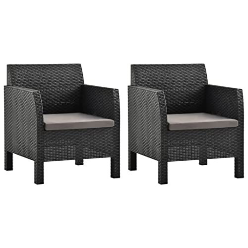 ZQQLVOO Patio Chairs with Cushions,Armchair,Dining Chairs,Leisure Chairs,Garden Chairs,for Swimming Pools,Decks,Gardens,Backyards,2 pcs PP Rattan Anthracite