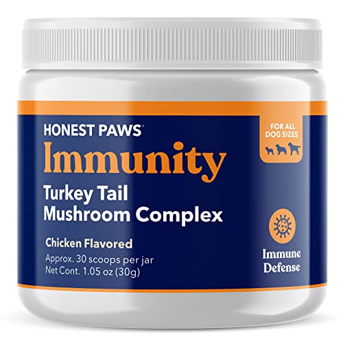 Honest Paws Dog Digestive and Immunity Booster – Turkey Tail Mushroom Blend - Shiitake, Reishi, Maitake Mushroom Extract Formula - No Filler, No Additives - (1.05 oz)