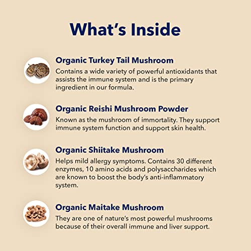 Honest Paws Dog Digestive and Immunity Booster – Turkey Tail Mushroom Blend - Shiitake, Reishi, Maitake Mushroom Extract Formula - No Filler, No Additives - (1.05 oz)
