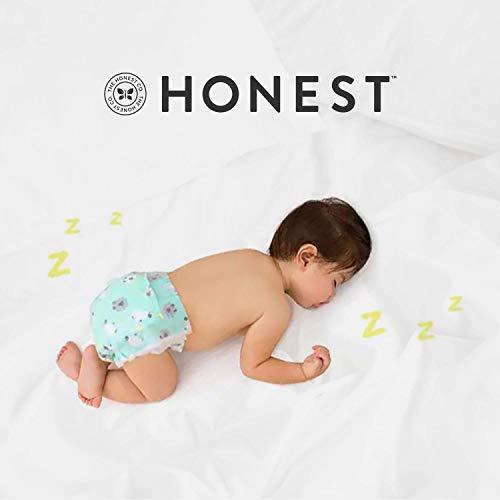 The Honest Company Clean Conscious Overnight Diapers | Plant-Based, Sustainable | Sleepy Sheep | Club Box, Size 3 (16-28 lbs), 60 Count