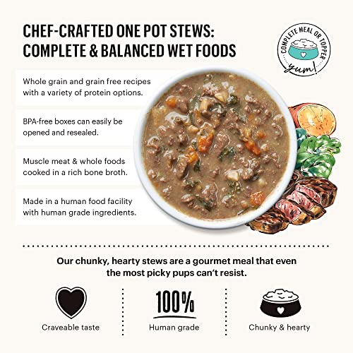 The Honest Kitchen One Pot Stews: Slow Cooked Chicken Stew with Sweet Potato, Spinach & Apples Wet Dog Food, 10.5 oz (Pack of 6)