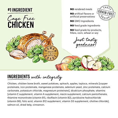 The Honest Kitchen One Pot Stews: Slow Cooked Chicken Stew with Sweet Potato, Spinach & Apples Wet Dog Food, 10.5 oz (Pack of 6)