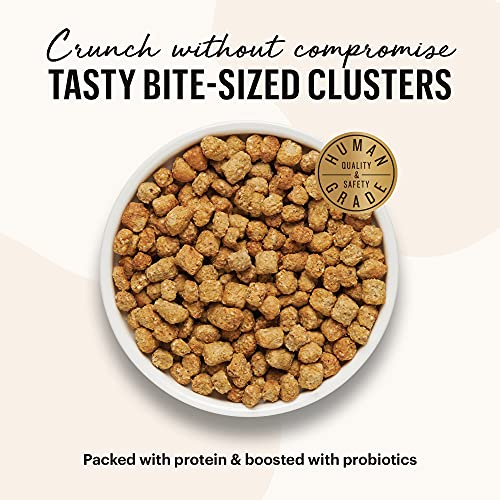 The Honest Kitchen Whole Food Clusters Grain Free Turkey & Chicken Dry Cat Food, 1 lb Bag