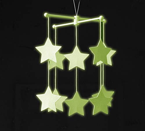 Rust-Oleum 278733 Glow in The Dark MAX Spray Paint, 10 oz