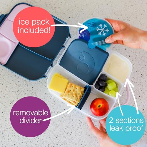 b.box Oversized Lunch Box for Kids: Bento Box w/ 4 Compartments (2 Leak Proof), Removable Divider & Gel Pack. Ideal for Big Eaters 3+. School Supplies, 8½ Cup Capacity