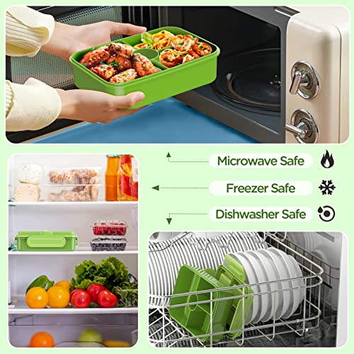 DaCool Kids' Bento Box Toddler Lunch Box for Kids 7.5 Cup 4-Compartment Leakproof with Fork Spoon School Lunch Containers for Meal Snack, Microwave & Dishwasher Safe, BPA Free, Green