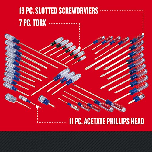 CRAFTSMAN Screwdriver Set, 42 Pieces, Acetate Handle, Made of Steel with Satin-Nickle Finish (CMHT65300)