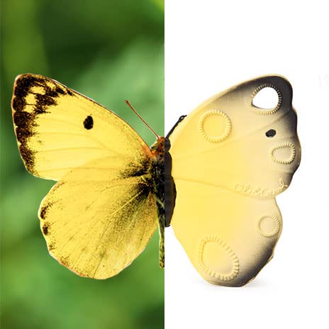 Oli & Carol Butterfly-Shaped Teething Toy - Natural Hevea Rubber Teething Toy | Aesthetic Baby Toys | Baby Teethers | Montessori Toys for Babies 0-6 Months | Infant Teether (Katia The Butterfly)