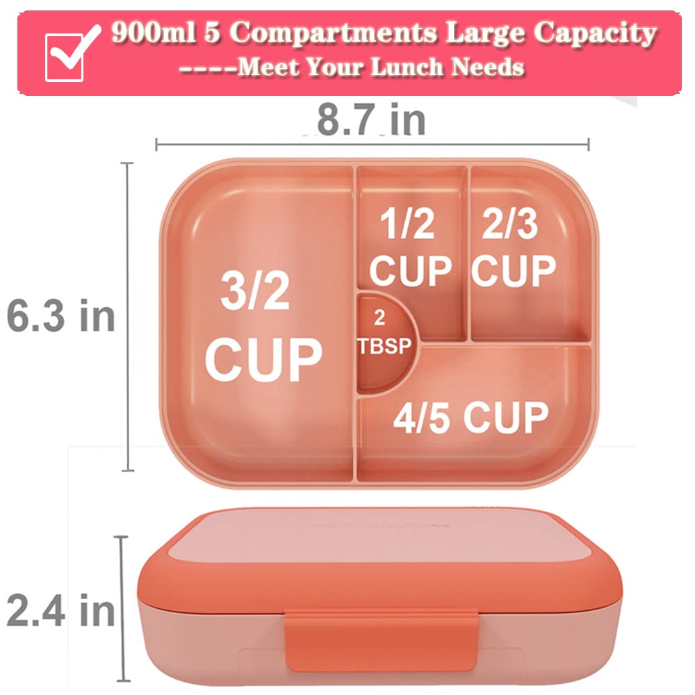 Ponydash Lunch Box Kids with Ice Pack - Keeping Cool for 4-5 Hours, Bento Lunch Box, 5 Parts Lunch Containers with Insulated Lunchbag