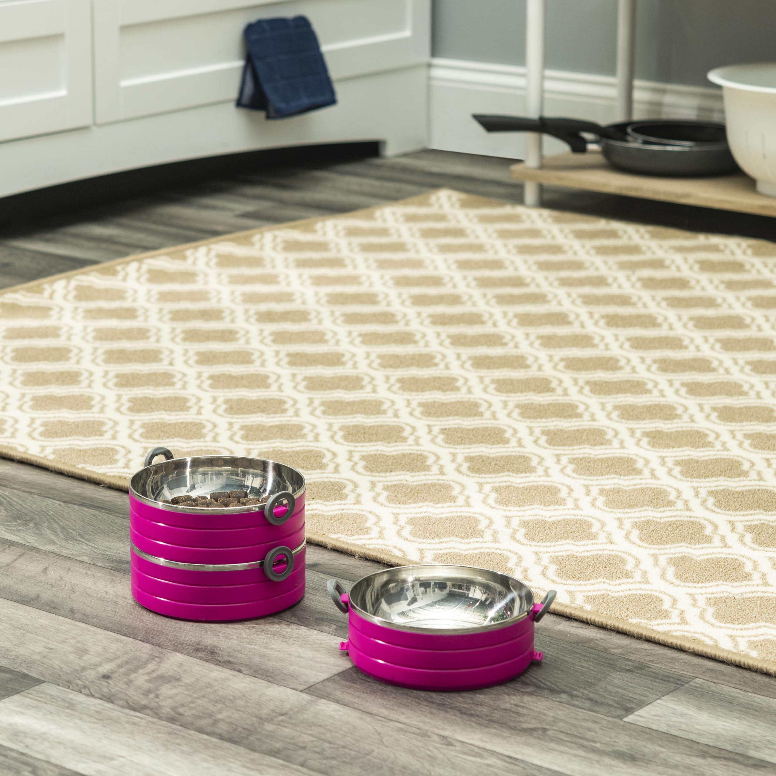 Healthy Human Travel Dog Bowls, Stainless Steel Portable Bento Bowls, Interlocking Set of 2 Bowls with Spare Clips and Handle, Ideal for Small to Medium Dogs