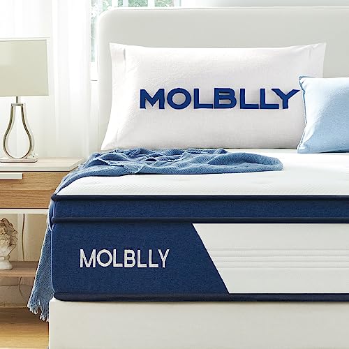 Molblly 14 Inch Hybrid Mattress with Gel Memory Foam, Motion Isolation Individually Wrapped Pocket Coils Mattress, Pressure Relief, Back Pain Relief& Cooling Queen Size Bed Mattress.