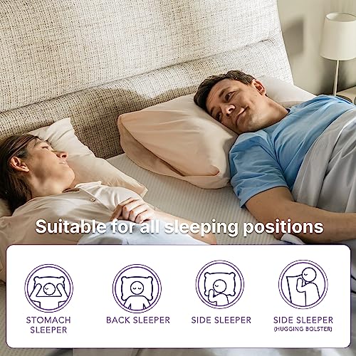 NapQueen Queen Mattress, 6 Inch Charcoal Memory Foam Mattress, Queen Bed Mattress in a Box, CertiPUR-US Certified, Medium Firm, Breathable Soft Fabric Cover