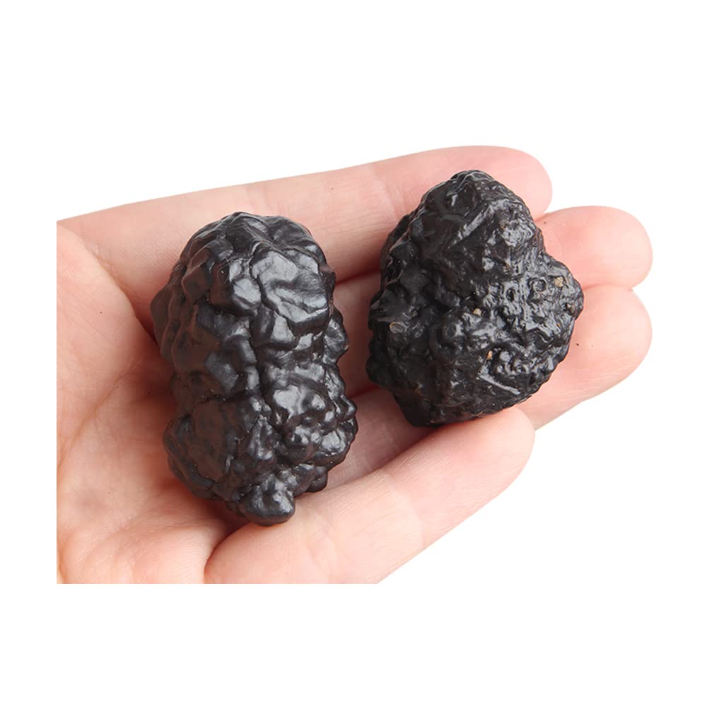 Acxico 2Pcs 30-50g Natural Egypt Black Diamond Quartz Crystal Specimen Raw Stone Decorate