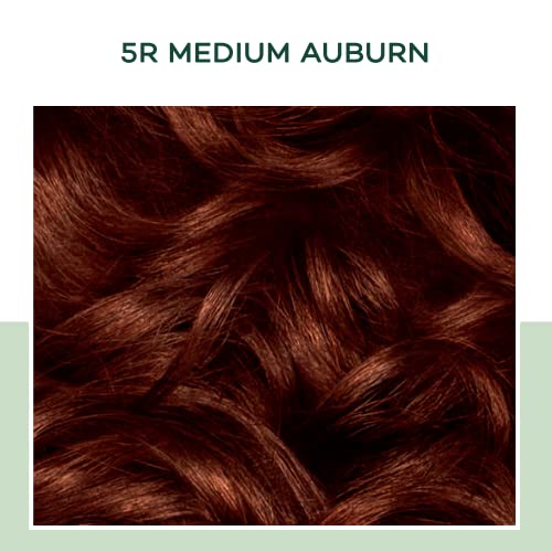 Clairol Natural Instincts Demi-Permanent Hair Dye, 5R Medium Auburn Hair Color, Pack of 3