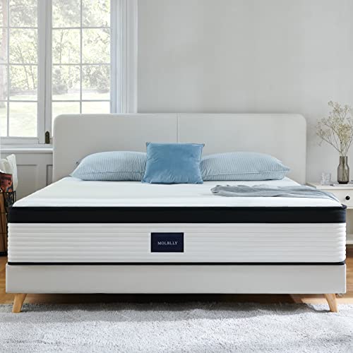 Molblly Queen Mattress, 10 inch Innerspring Mattress in a Box, Ultimate Motion Isolation Individually Wrapped Pocket Coils Mattress, Pressure Relief and Supportive