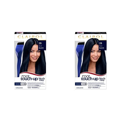 Clairol Root Touch-Up by Nice'n Easy Permanent Hair Dye, 2B Blue Black Hair Color, Pack of 1 (Pack of 2)