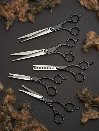 Andis 7" Premium Straight Shears, Right-Handed, Professional Dog and Cat Grooming (65280)