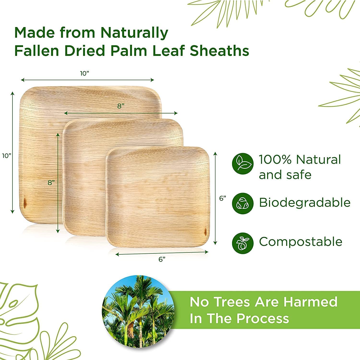 TRULY ECO 8 Inch 40 Square Palm Leaf Plates – Compostable, Biodegradable, Eco-Friendly – Like Bamboo Disposable Plates for Party, Wedding, Picnic – Sturdy, Heat Proof & Leak Proof