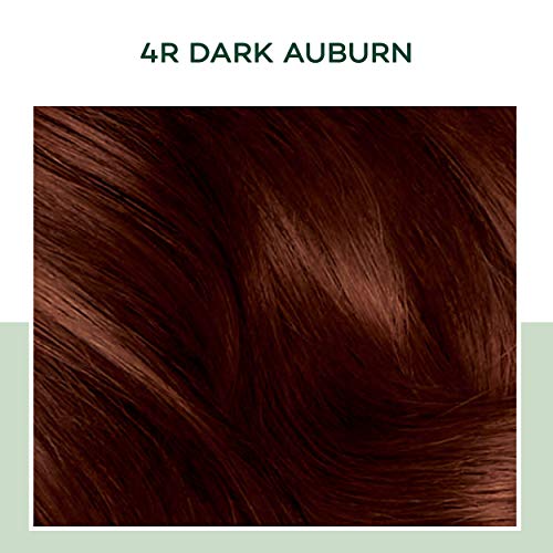 Clairol Natural Instincts Demi-Permanent Hair Dye, 4R Dark Auburn Hair Color, Pack of 1