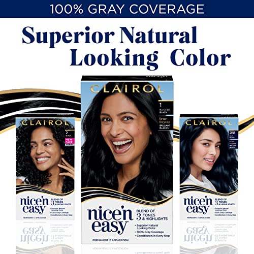 Clairol Nice'n Easy Permanent Hair Dye, 3 Brown Black Hair Color, Pack of 3