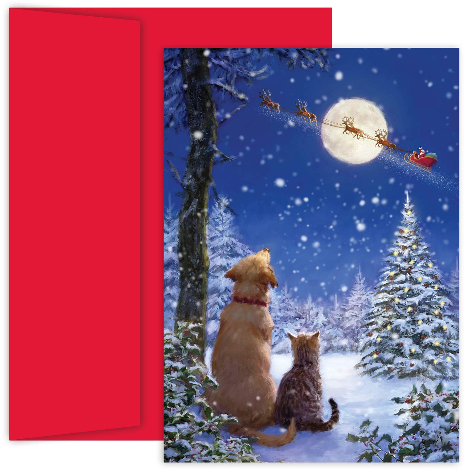 Masterpiece Studios Holiday Collection 16-Count Boxed Christmas Cards with Envelopes, 7.8" x 5.6", And To All A Goodnight (897500)