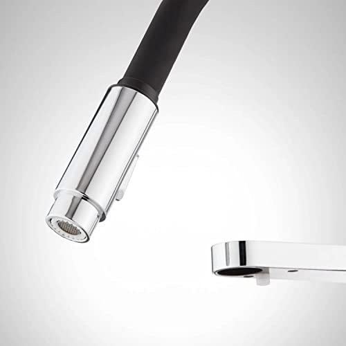 Signature Hardware 949181 Fanning Filtration Kitchen Faucet