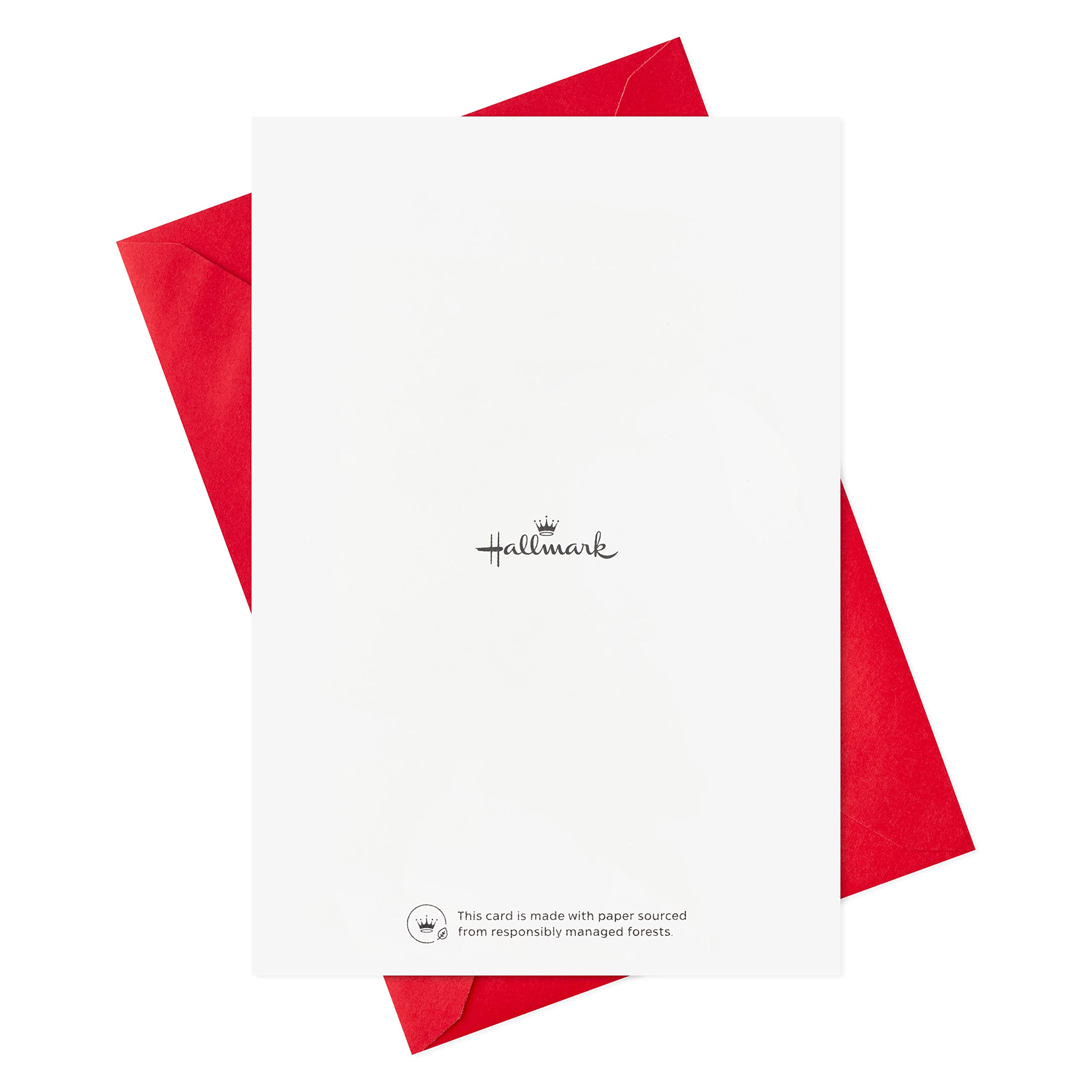 Hallmark Boxed Christmas Cards Assortment, Cozy Christmas (6 Designs, 36 Cards with Envelopes)