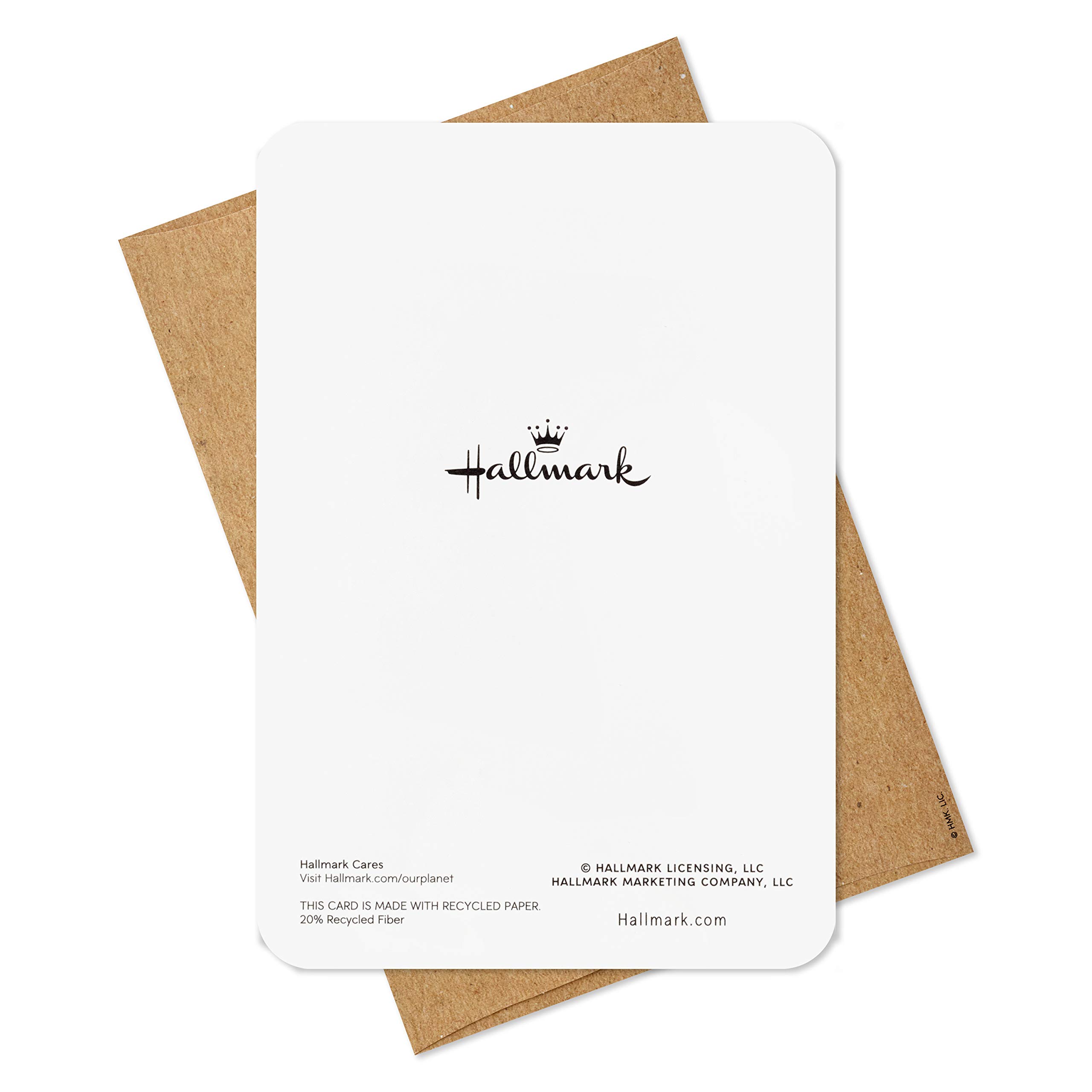 Hallmark Boxed Christmas Cards, Snowman (16 Cards and 17 Envelopes)