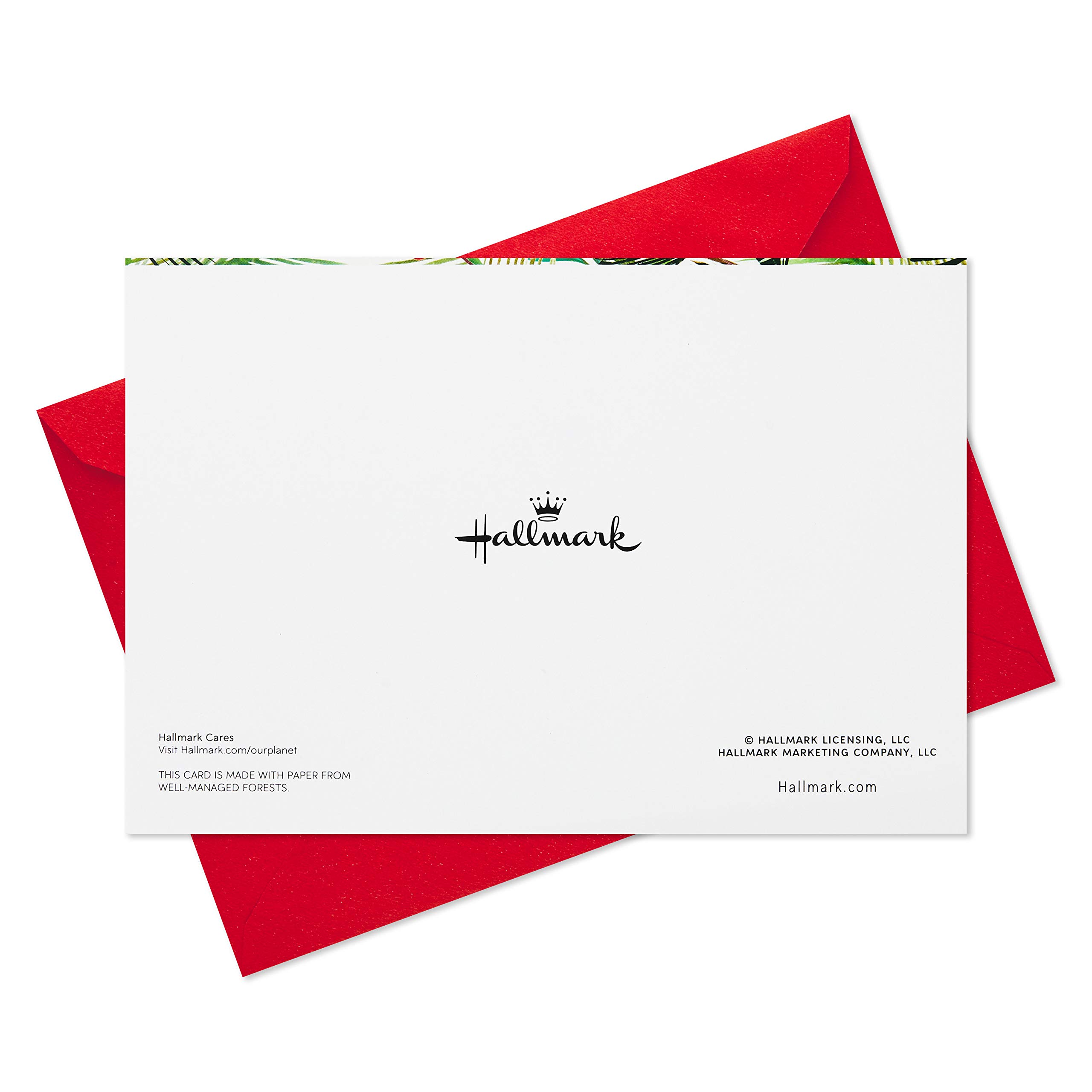 Hallmark Boxed Holiday Cards, Festive Greenery (40 Cards and Envelopes)