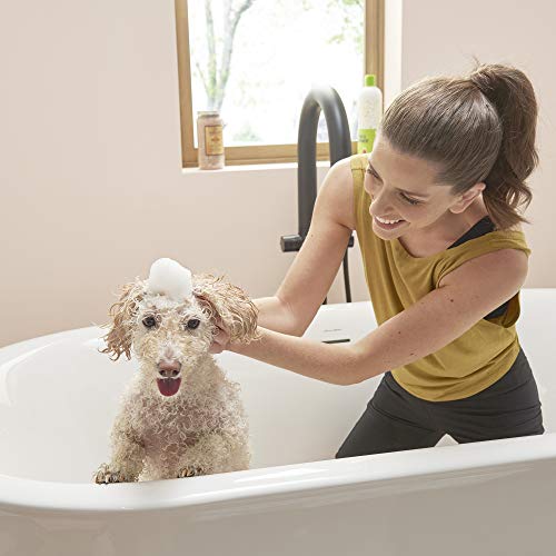 American Standard T064951.243 Contemporary Round Freestanding Tub Filler for Flash Rough-in Valve, Matte Black