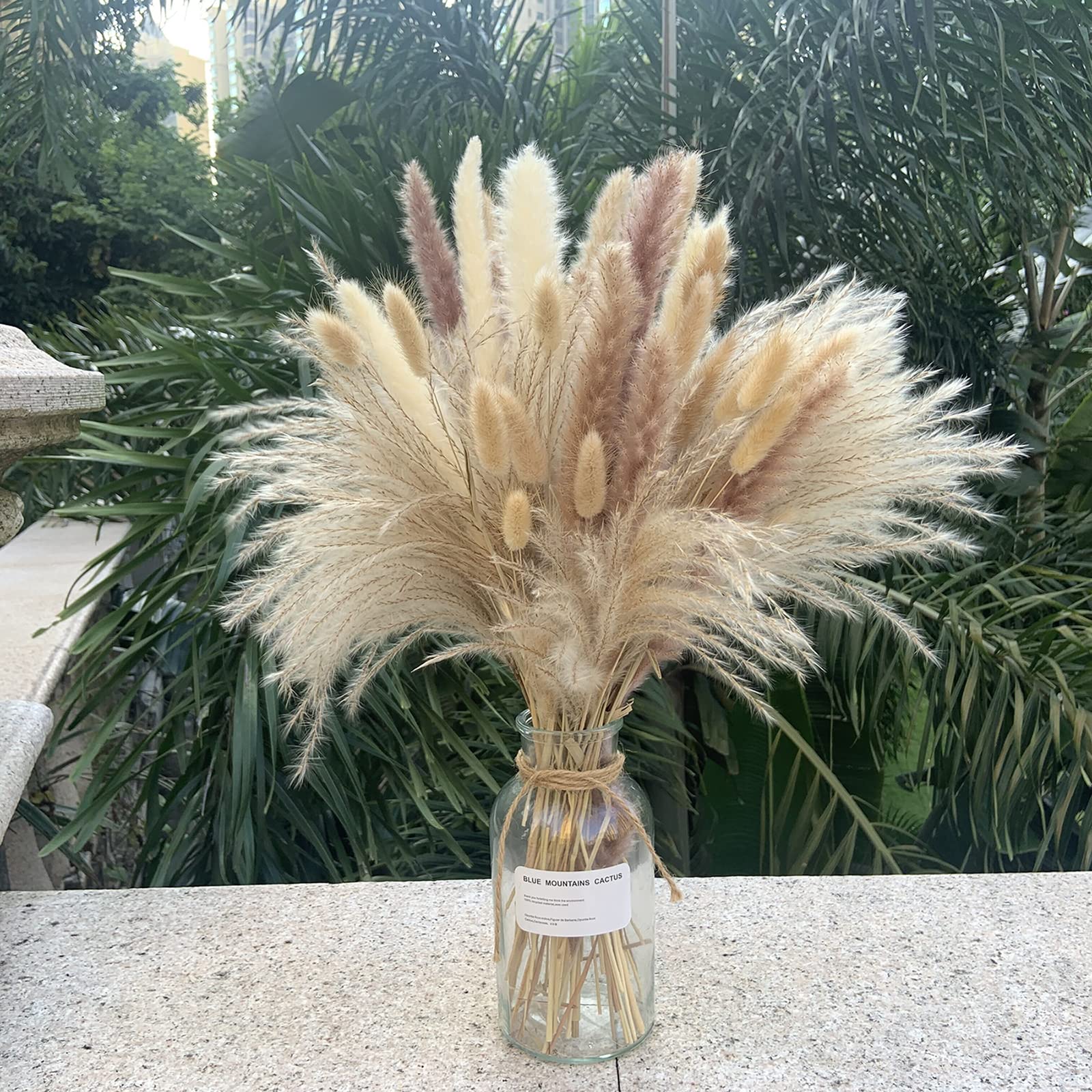 Pampas Grass 80 pcs 17.5 inch Natural Dried Pampas Grass - 15Pcs White Pampas & 15Pcs Brown Pampas & 30Pcs Reed Grass & 20Pcs Bunny Tail Grass,Fluffy Dried Flowers for Home Decor Wedding Boho Decorā¦