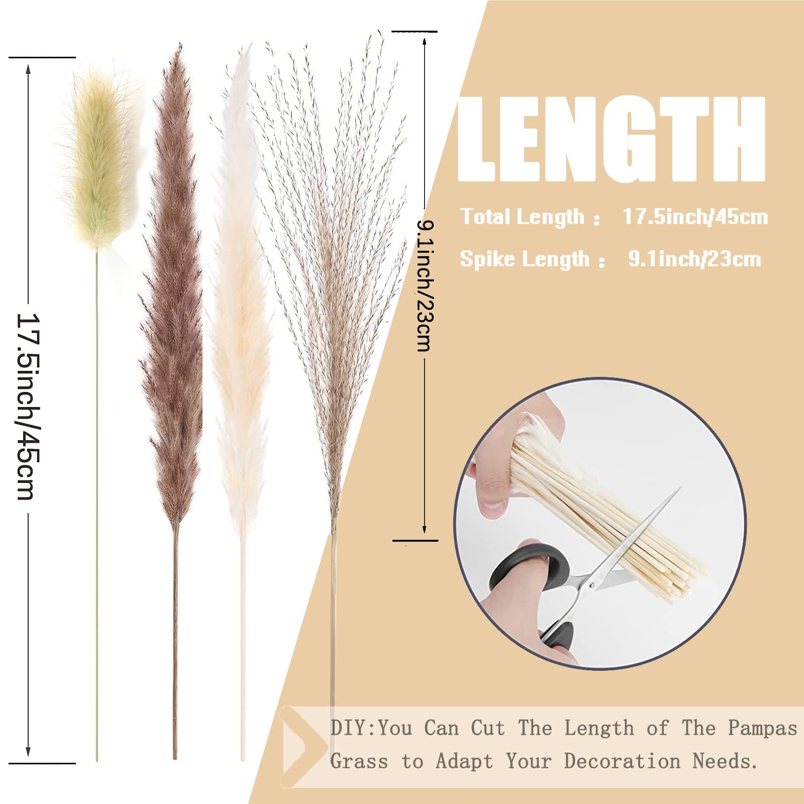 Pampas Grass 80 pcs 17.5 inch Natural Dried Pampas Grass - 15Pcs White Pampas & 15Pcs Brown Pampas & 30Pcs Reed Grass & 20Pcs Bunny Tail Grass,Fluffy Dried Flowers for Home Decor Wedding Boho Decorā¦