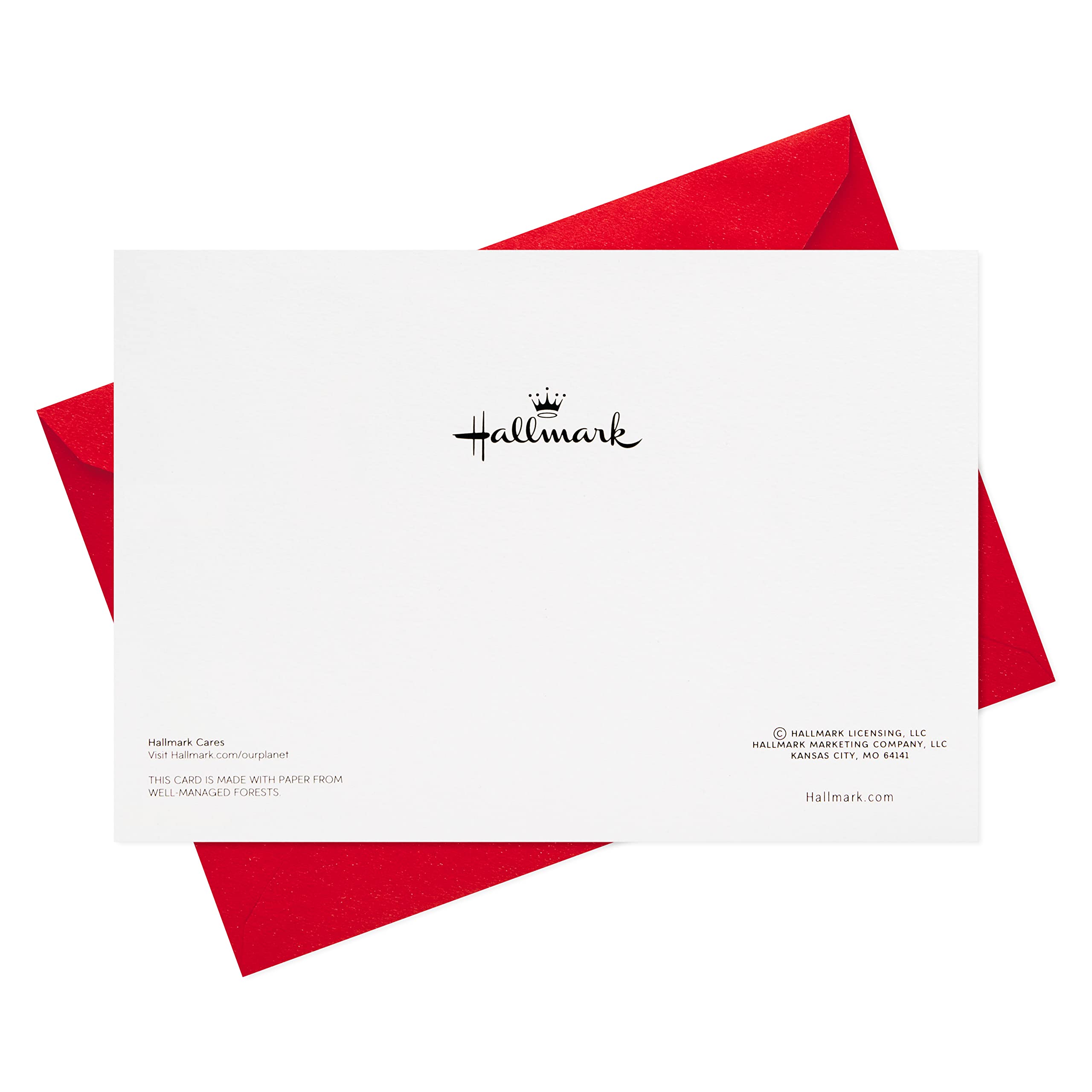 Hallmark Boxed Holiday Cards, Snowy City (40 Cards with Envelopes)