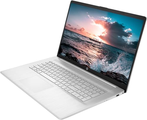 HP 17.3" Laptop, HD+ Flicker-Free Touchscreen, Octa-core AMD Ryzen 7 7730U Processor, 40GB RAM, 2TB PCIe SSD, Webcam, Backlit Keyboard with Lift-Hinge Design, Wi-Fi 6, Windows 11 Home, Silver