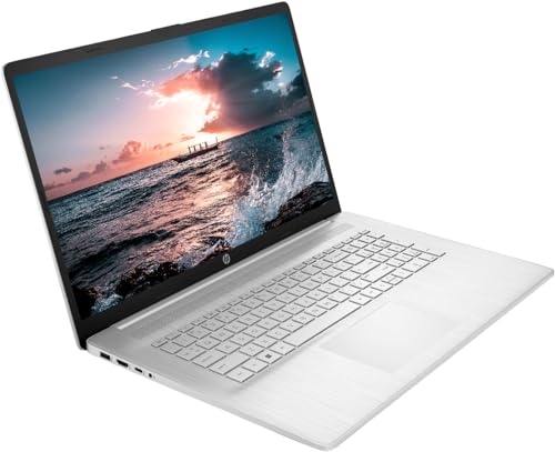 HP 17.3" Laptop, HD+ Flicker-Free Touchscreen, Octa-core AMD Ryzen 7 7730U Processor, 40GB RAM, 2TB PCIe SSD, Webcam, Backlit Keyboard with Lift-Hinge Design, Wi-Fi 6, Windows 11 Home, Silver