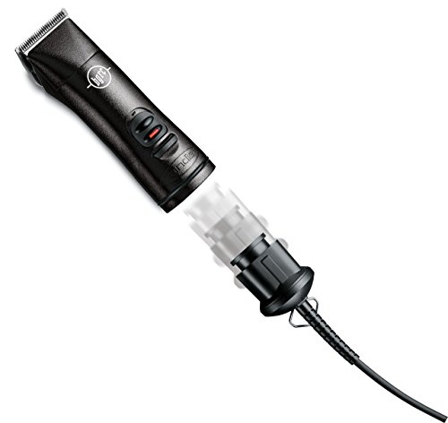 Andis 63700 BGRC Hair Clipper with Detachable Blade, Black