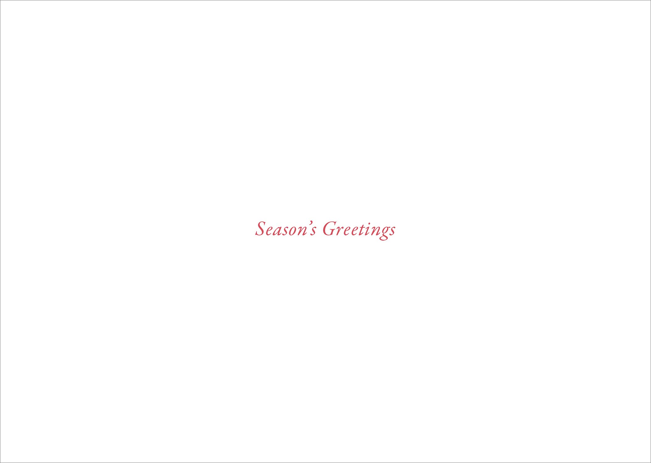 Merry Evergreens Deluxe Boxed Holiday Cards (20 Cards and 21 Envelopes) (English and Italian Edition)