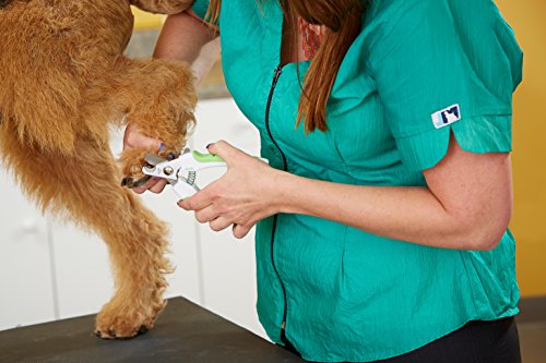 Andis Pet Animal Nail Clipper, White/Green (65700),Medium
