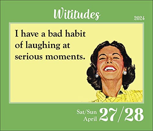 Wititudes 2024 Day-to-Day Calendar: Pretending to Be a Functioning Adult Is Exhausting